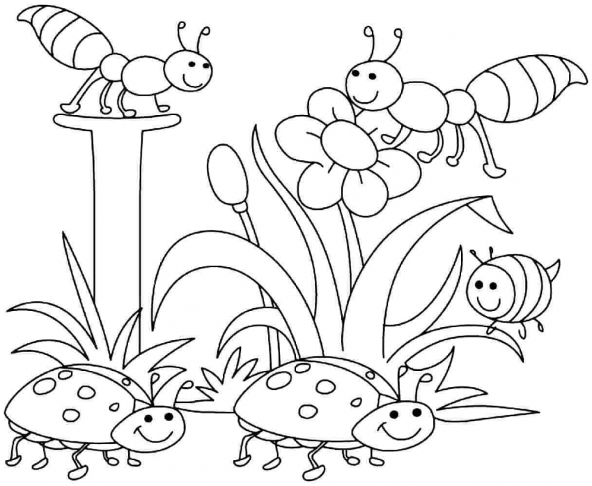 35 Free Printable Spring Coloring Pages – ScribbleFun