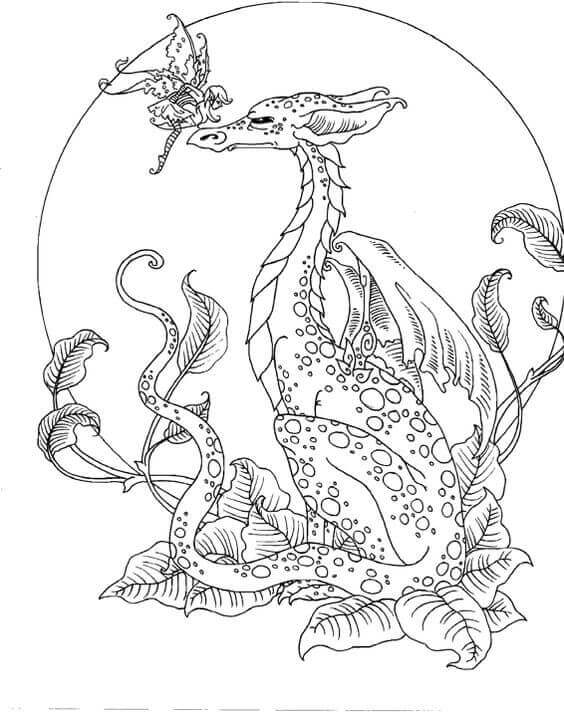 Dragon And Fairy Coloring Pages