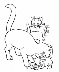 30 Free Printable Cat Coloring Pages