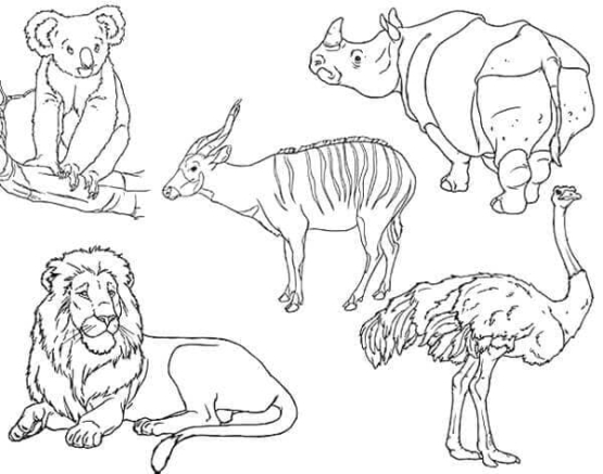 Free Printable Zoo Coloring Pages For Kids