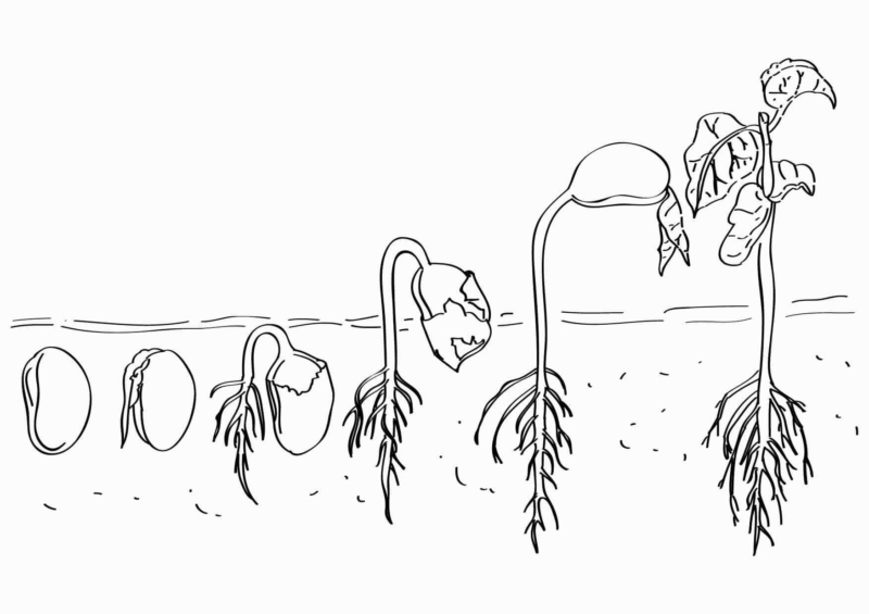 20 Free Printable Growth Mindset Coloring Pages