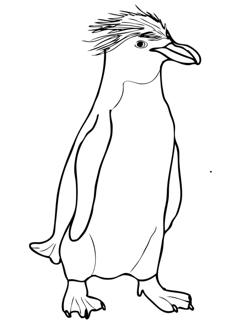 30 Free Penguin Coloring Pages Printable