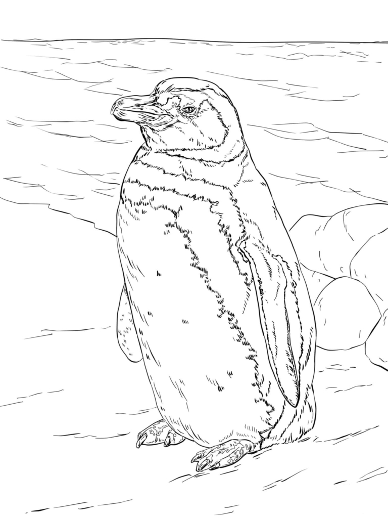 30 Free Penguin Coloring Pages Printable
