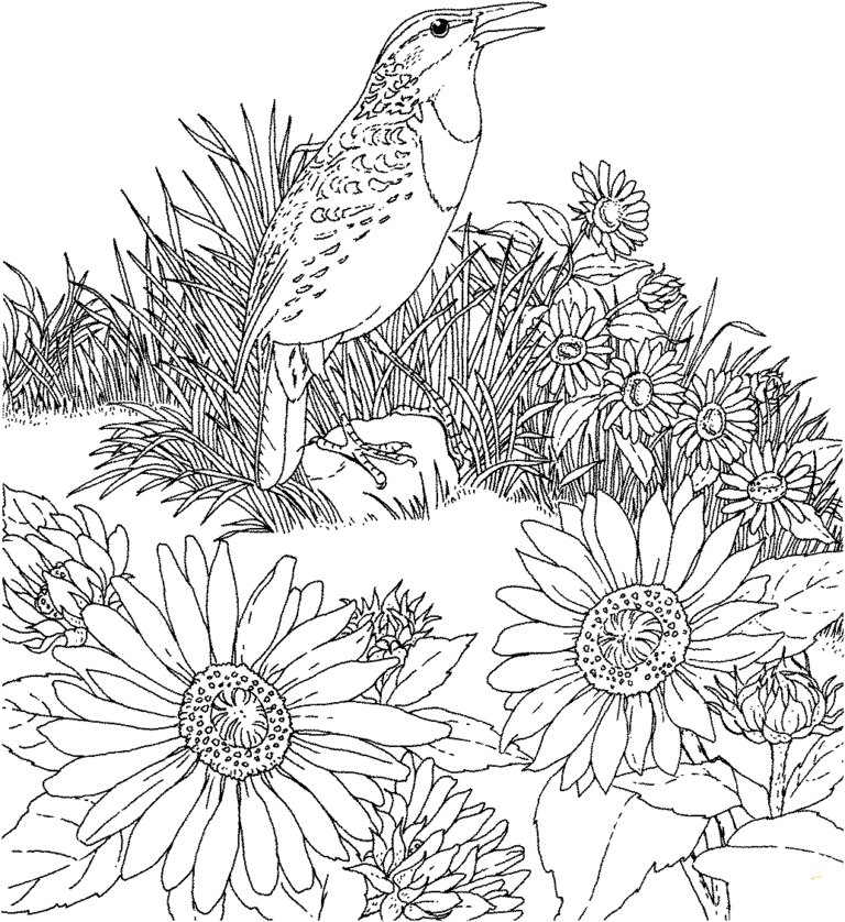 Free Kansas Day Coloring Pages Printable