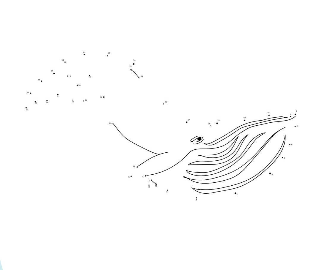 25 Free Whale Coloring Pages Printable