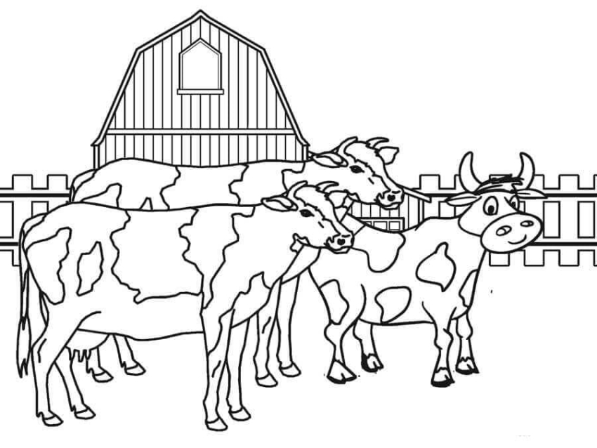 25 Free Farm Animal Coloring Pages Printable