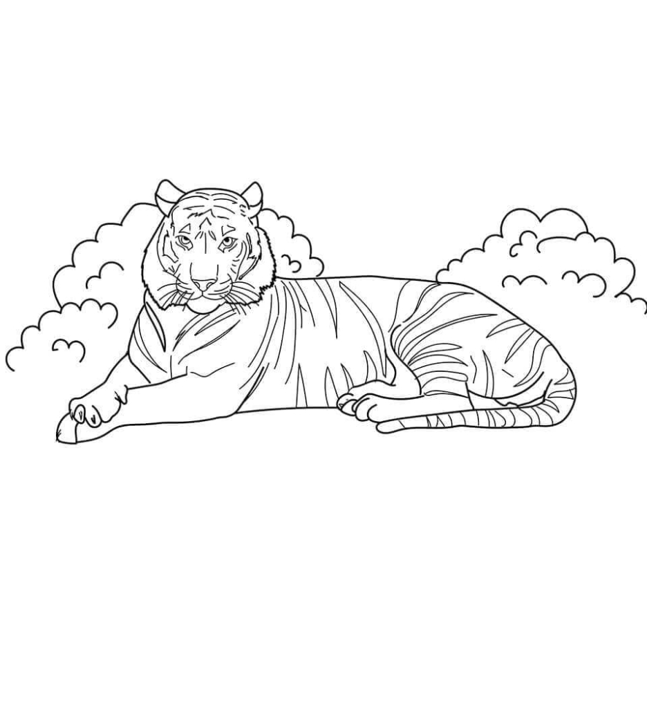 32 Free Tiger Coloring Pages Printable