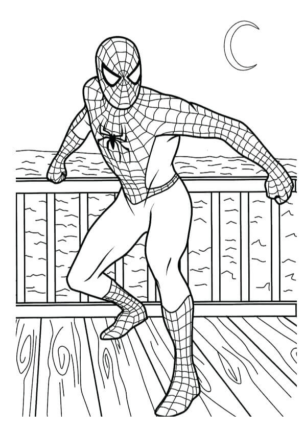 30 Free Spider Man Coloring Pages Printable