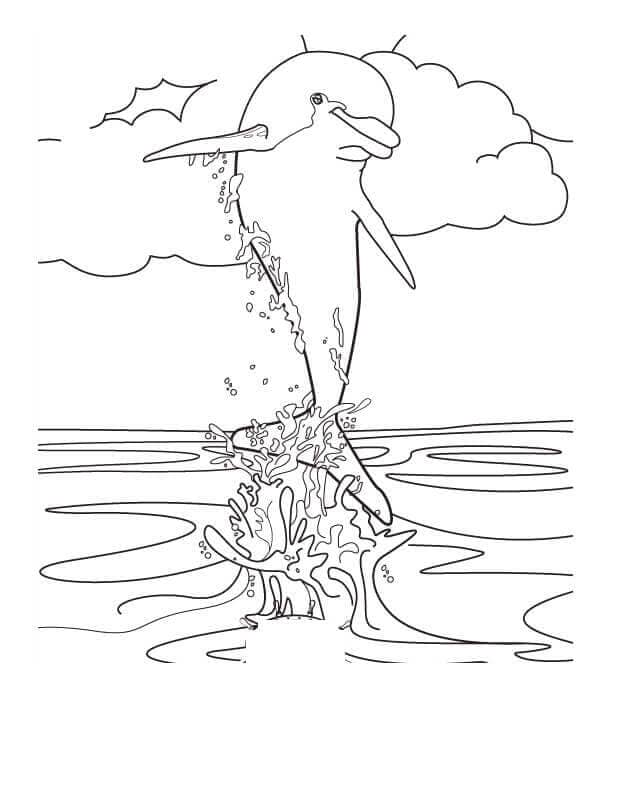 30 Free Dolphin Coloring Pages Printable