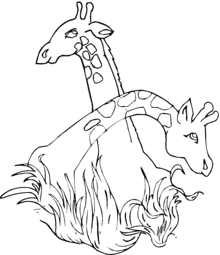 30 Free Giraffe Coloring Pages Printable