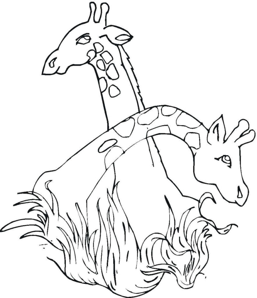 30 Free Giraffe Coloring Pages Printable