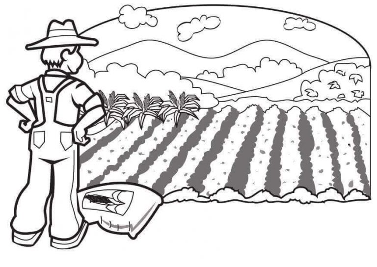 30 Free Farm Coloring Pages Printable
