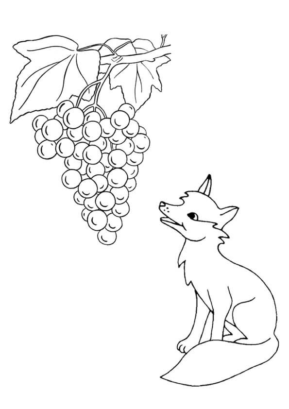 35 Free Fox Coloring Pages Printable