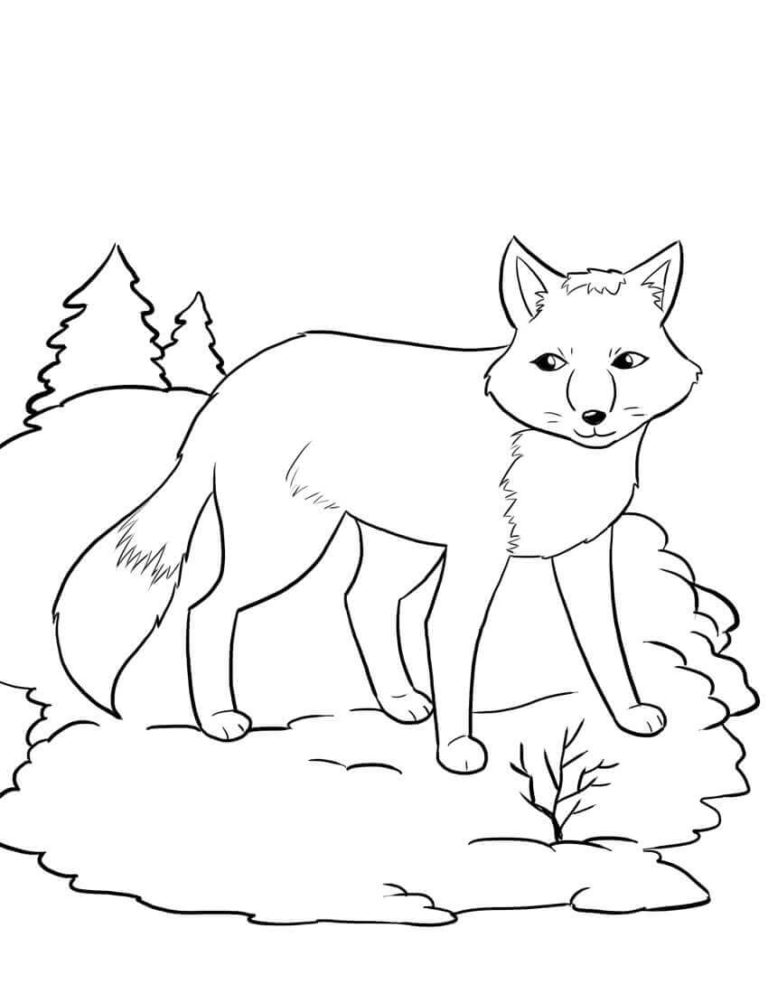 35 Free Fox Coloring Pages Printable