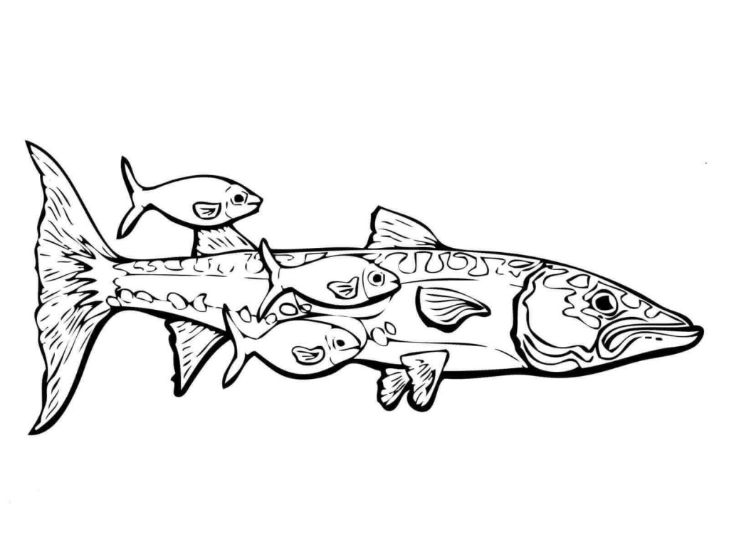 35 Free Fish Coloring Pages Printable