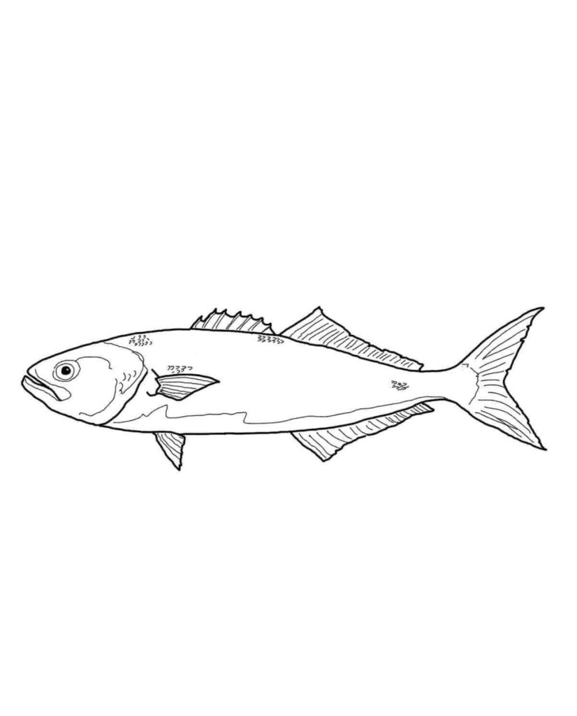35 Free Fish Coloring Pages Printable