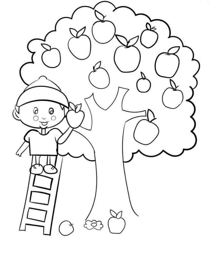 30 Free Apple Coloring Pages Printable