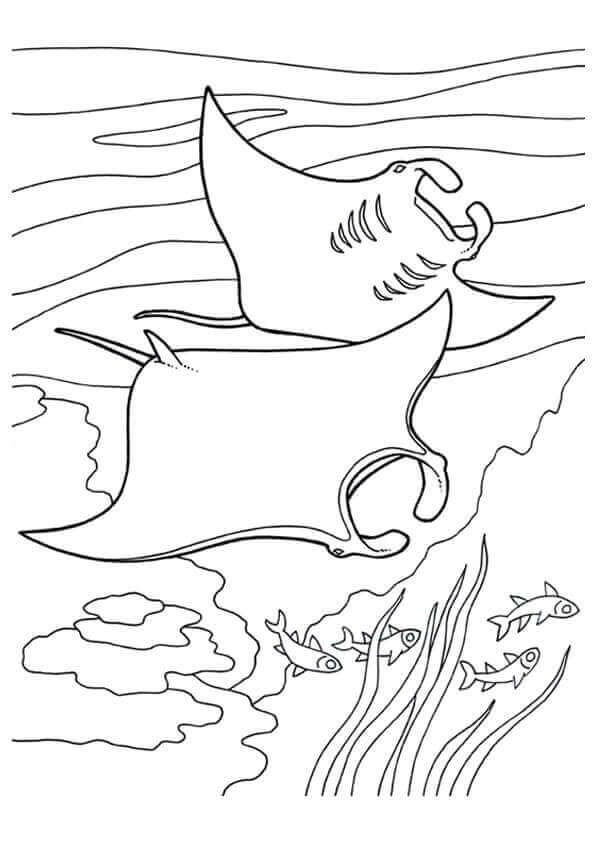 35 Free Fish Coloring Pages Printable