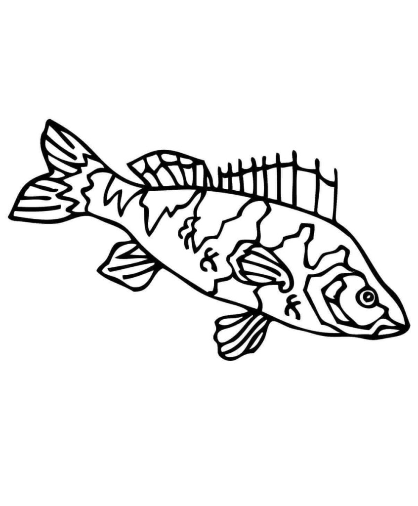 35 Free Fish Coloring Pages Printable
