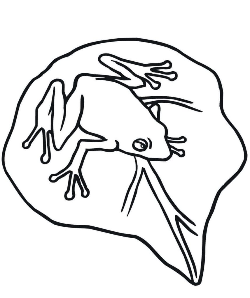 35 Free Frog Coloring Pages Printable