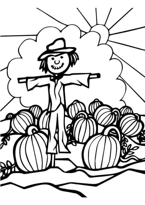 30 Free Pumpkin Patch Coloring Pages Printable