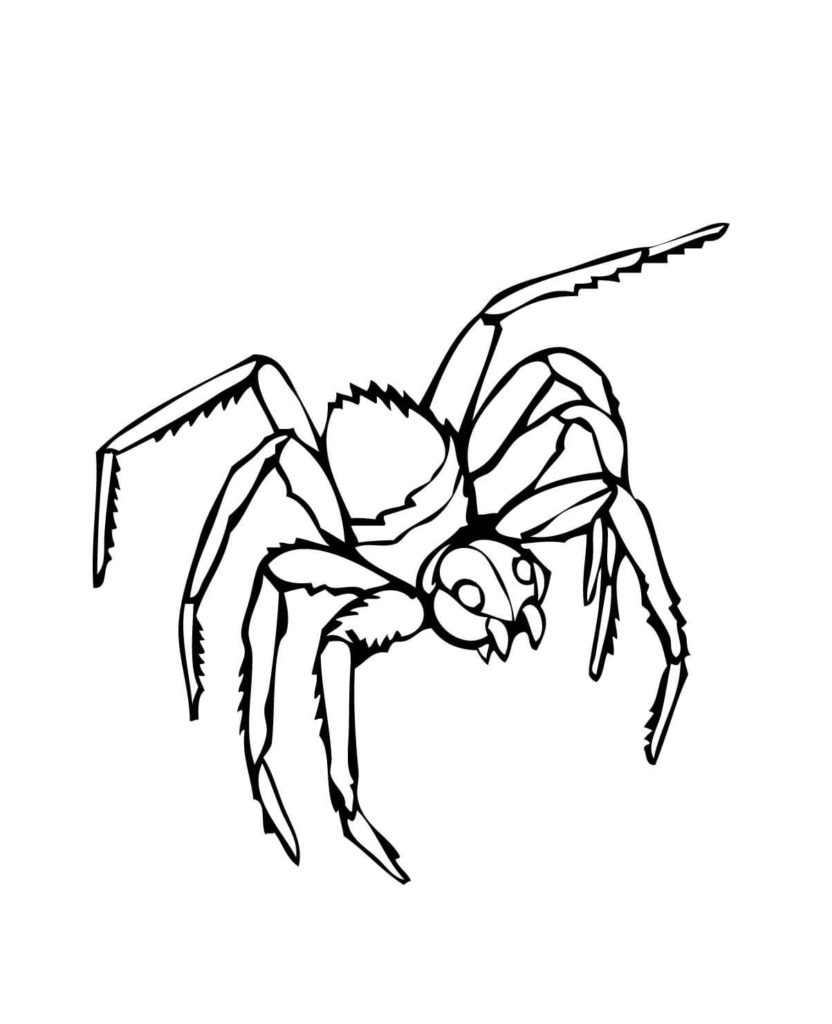 27 Free Spider Coloring Pages Printable – ScribbleFun