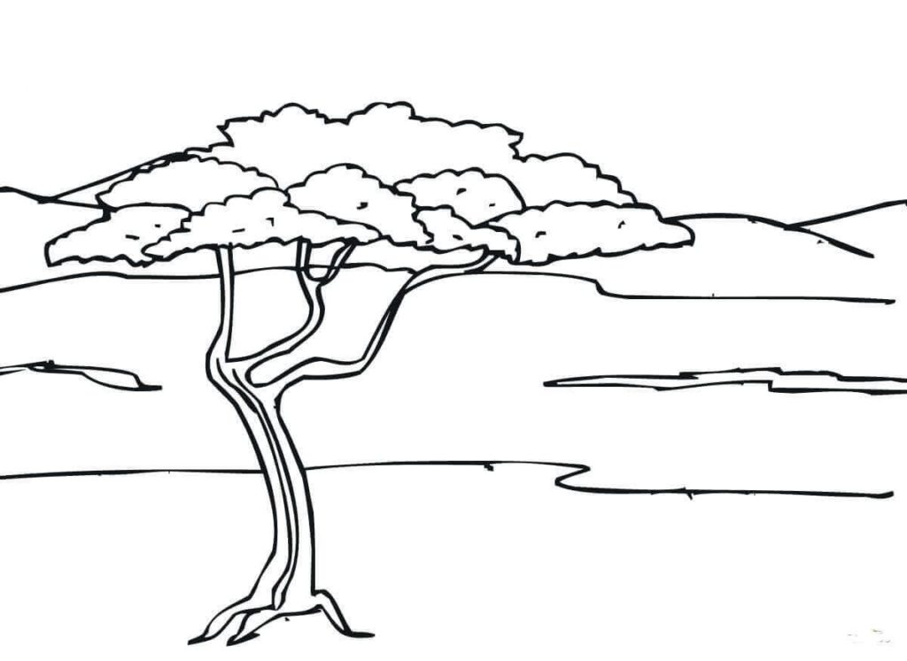 35 Free Tree Coloring Pages Printable