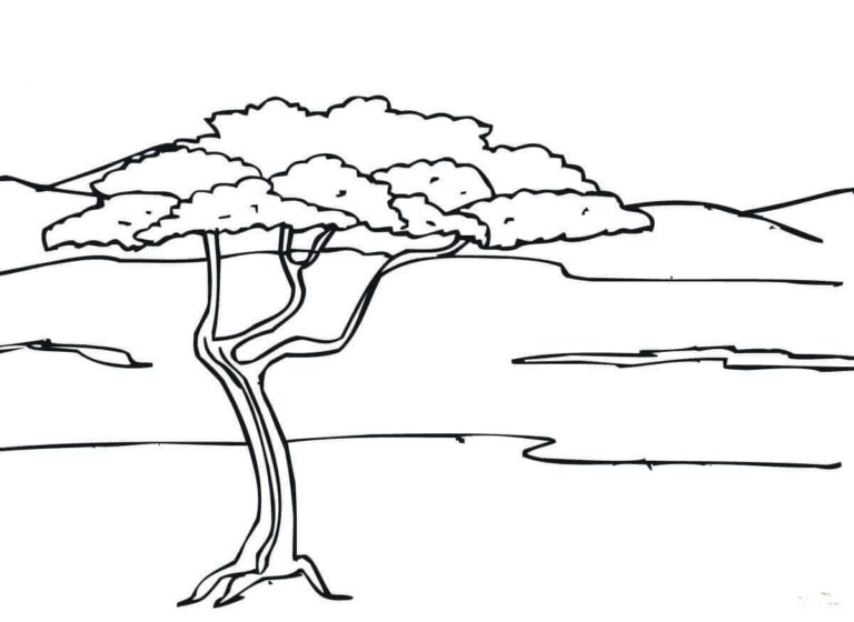 35 Free Tree Coloring Pages Printable – ScribbleFun
