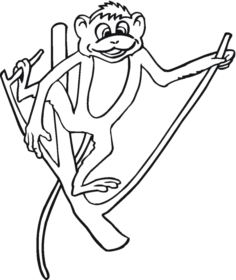 35 Free Monkey Coloring Pages Printable