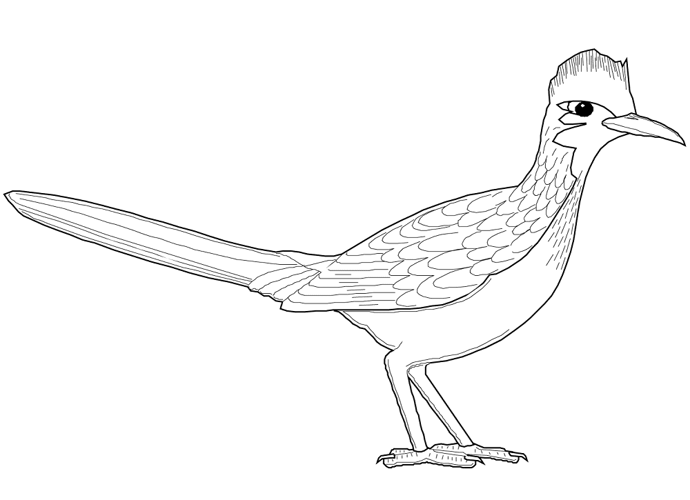 40 Birds Coloring Pages Printable