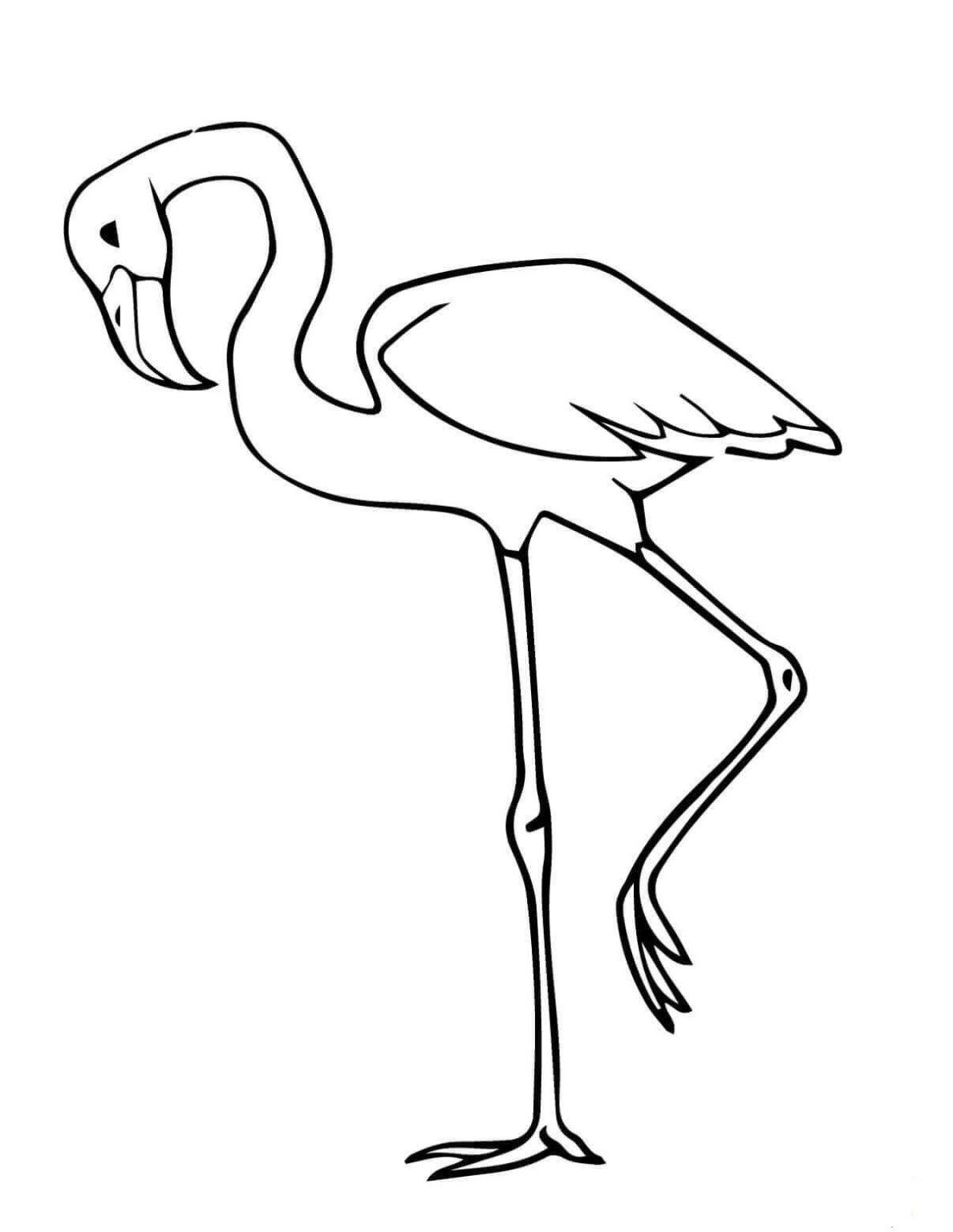30 Free Flamingo Coloring Pages Printable