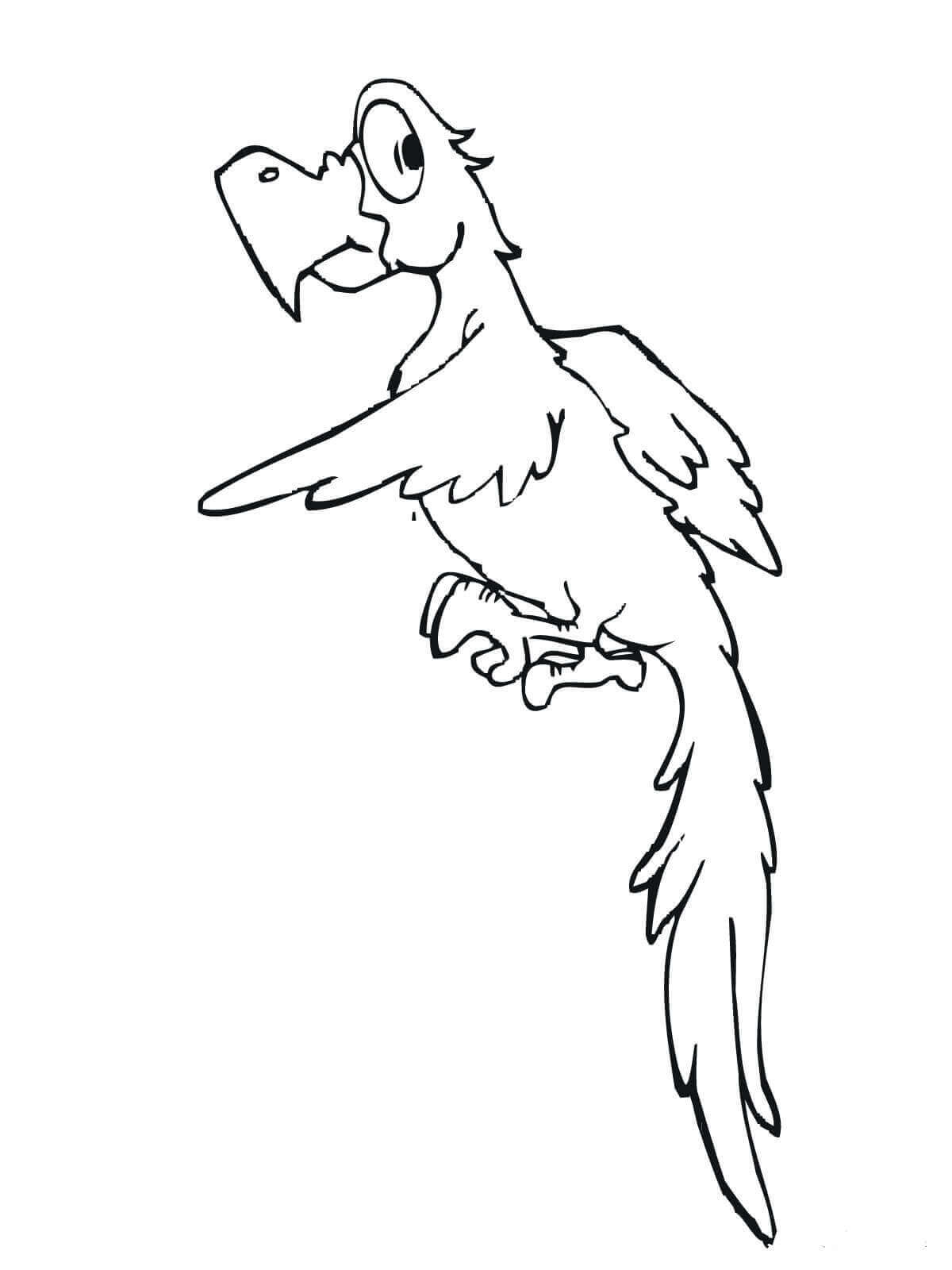 35 Free Parrot Coloring Pages Printable