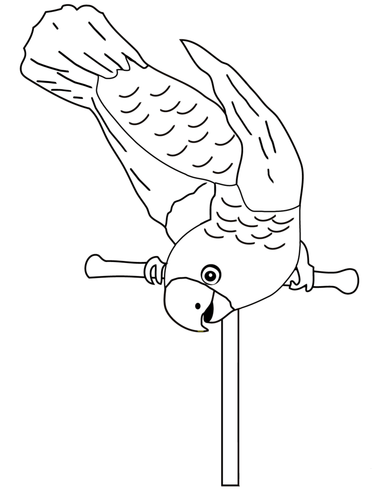 35 Free Parrot Coloring Pages Printable