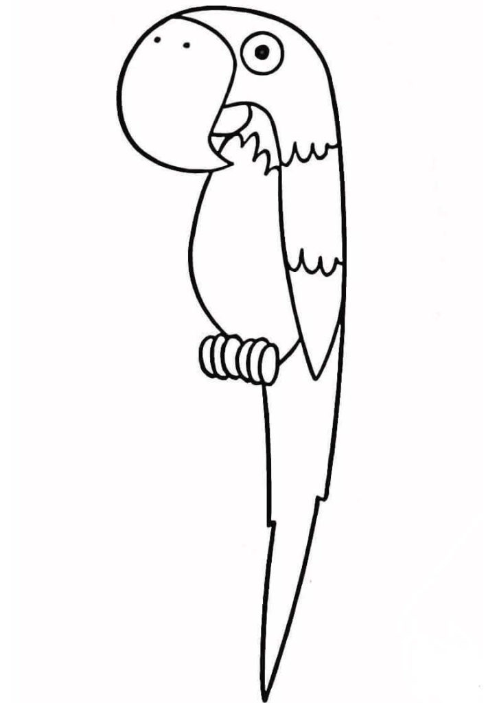 35 Free Parrot Coloring Pages Printable