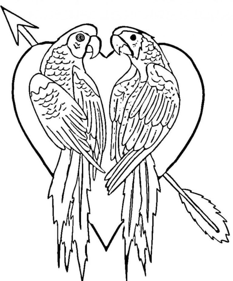 35 Free Parrot Coloring Pages Printable