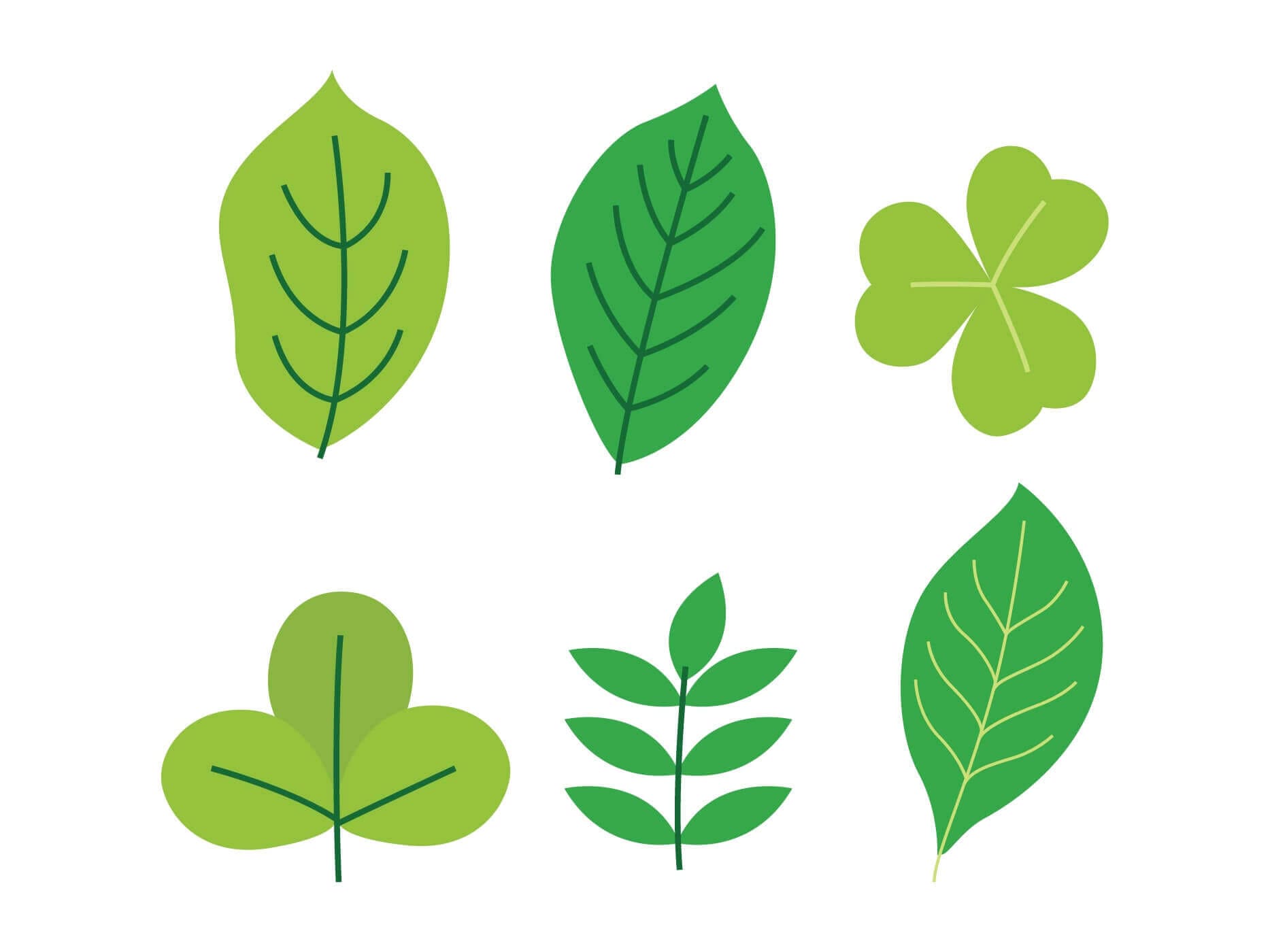 40 Free Leaf Coloring Pages Printable