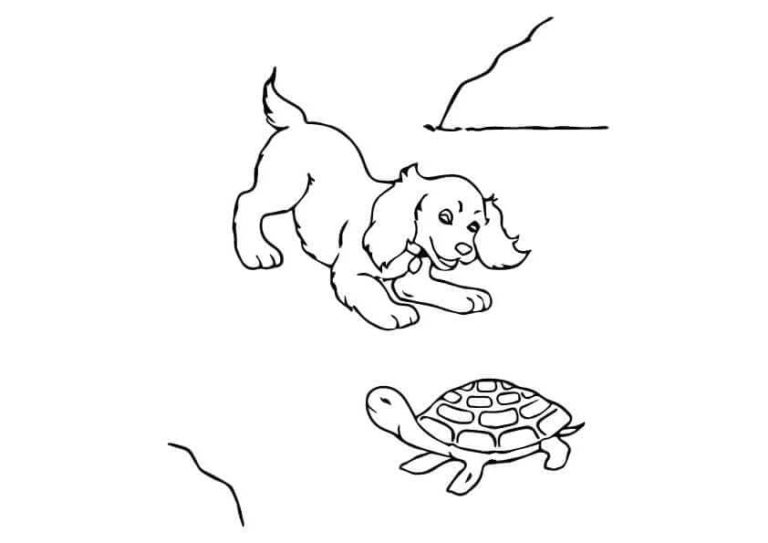 35 Free Turtle Coloring Pages Printable