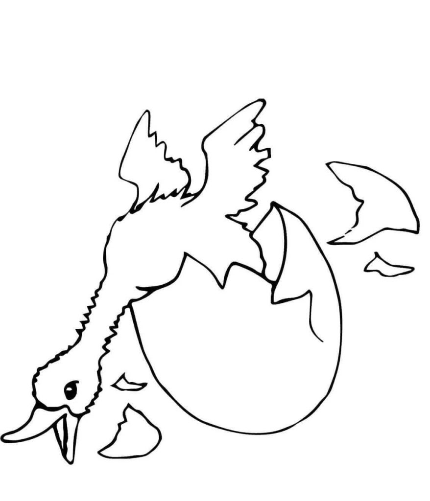 36 Free Duck Coloring Pages Printable