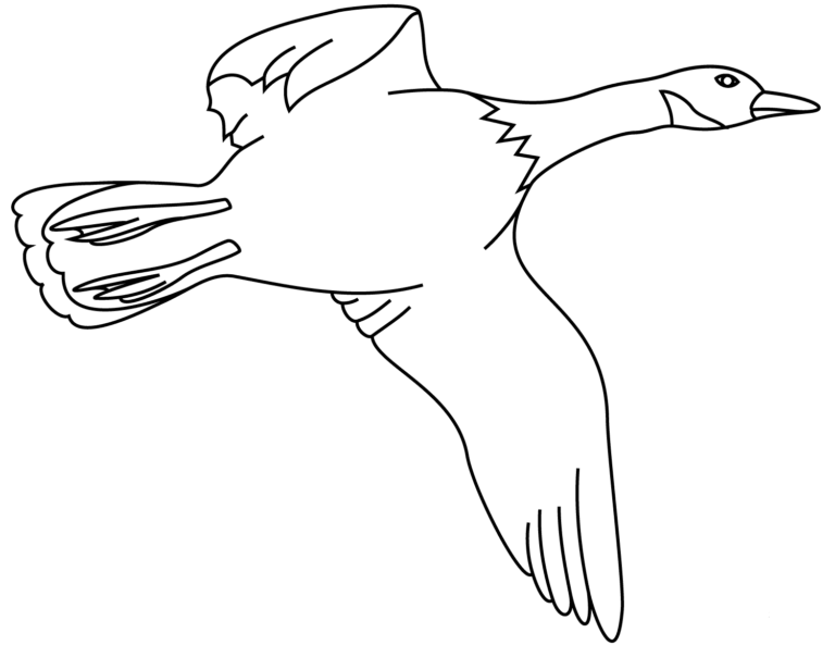 36 Free Duck Coloring Pages Printable – ScribbleFun
