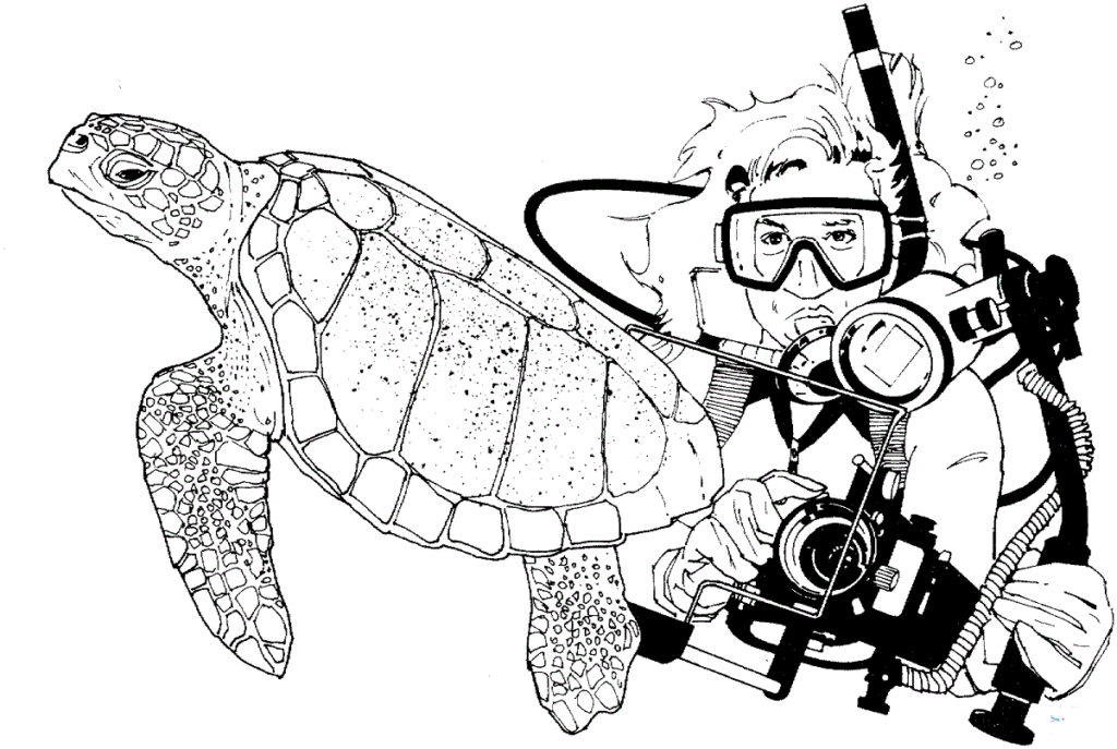 35 Free Turtle Coloring Pages Printable