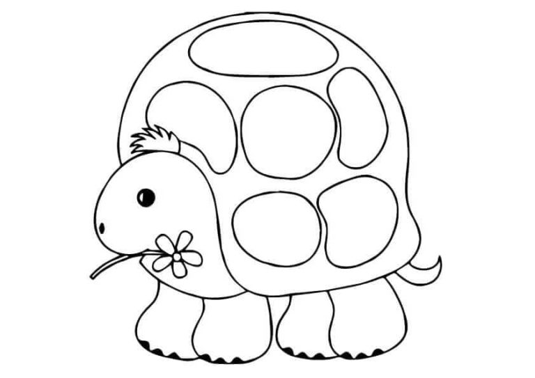 35 Free Turtle Coloring Pages Printable